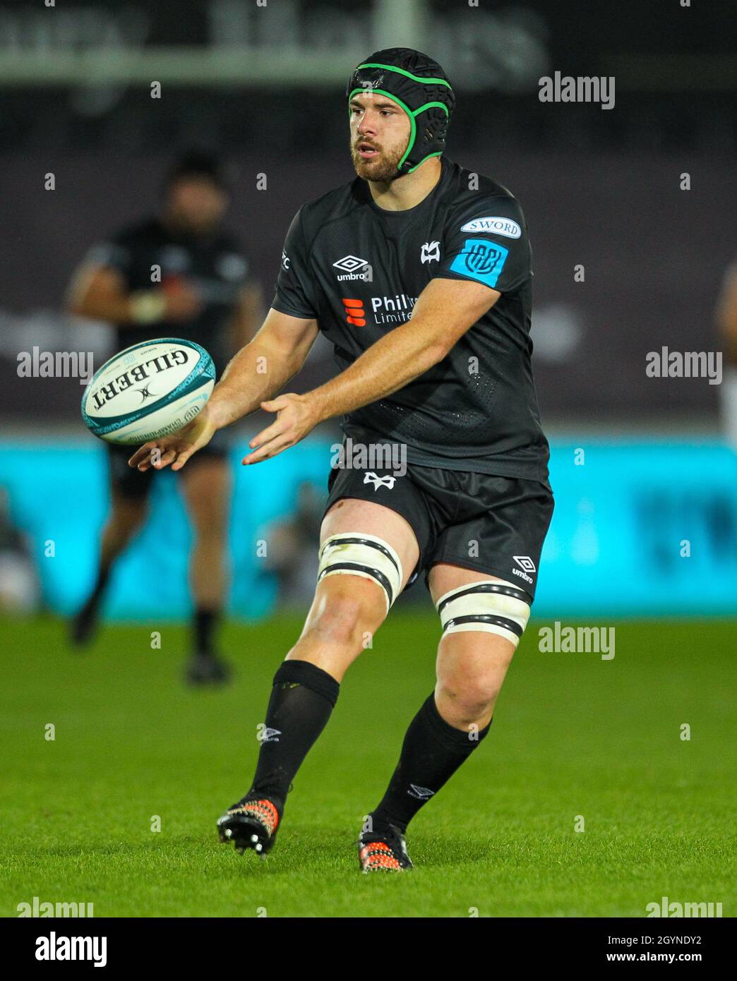 Morgan morris ospreys hi-res stock photography and images - Alamy
