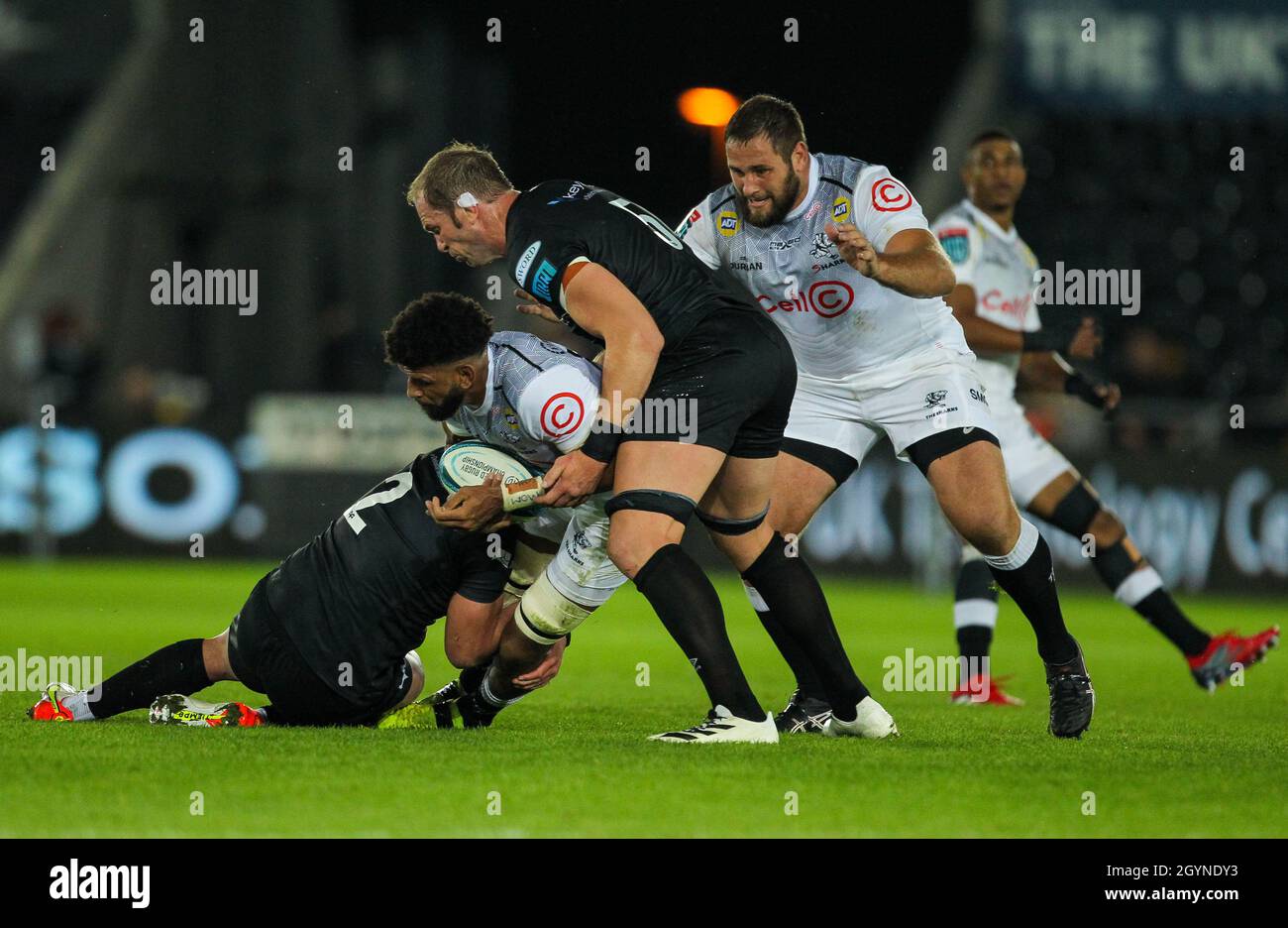 Sam parry rugby hi-res stock photography and images - Alamy
