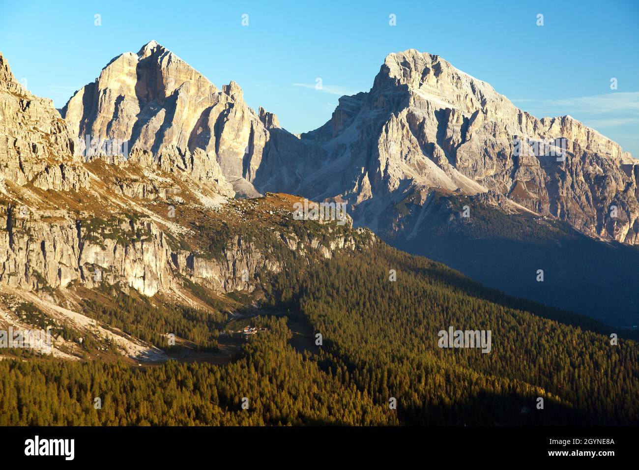 View of larch wood and Le Tofane Gruppe, Dolomiti, Italy Stock Photo ...