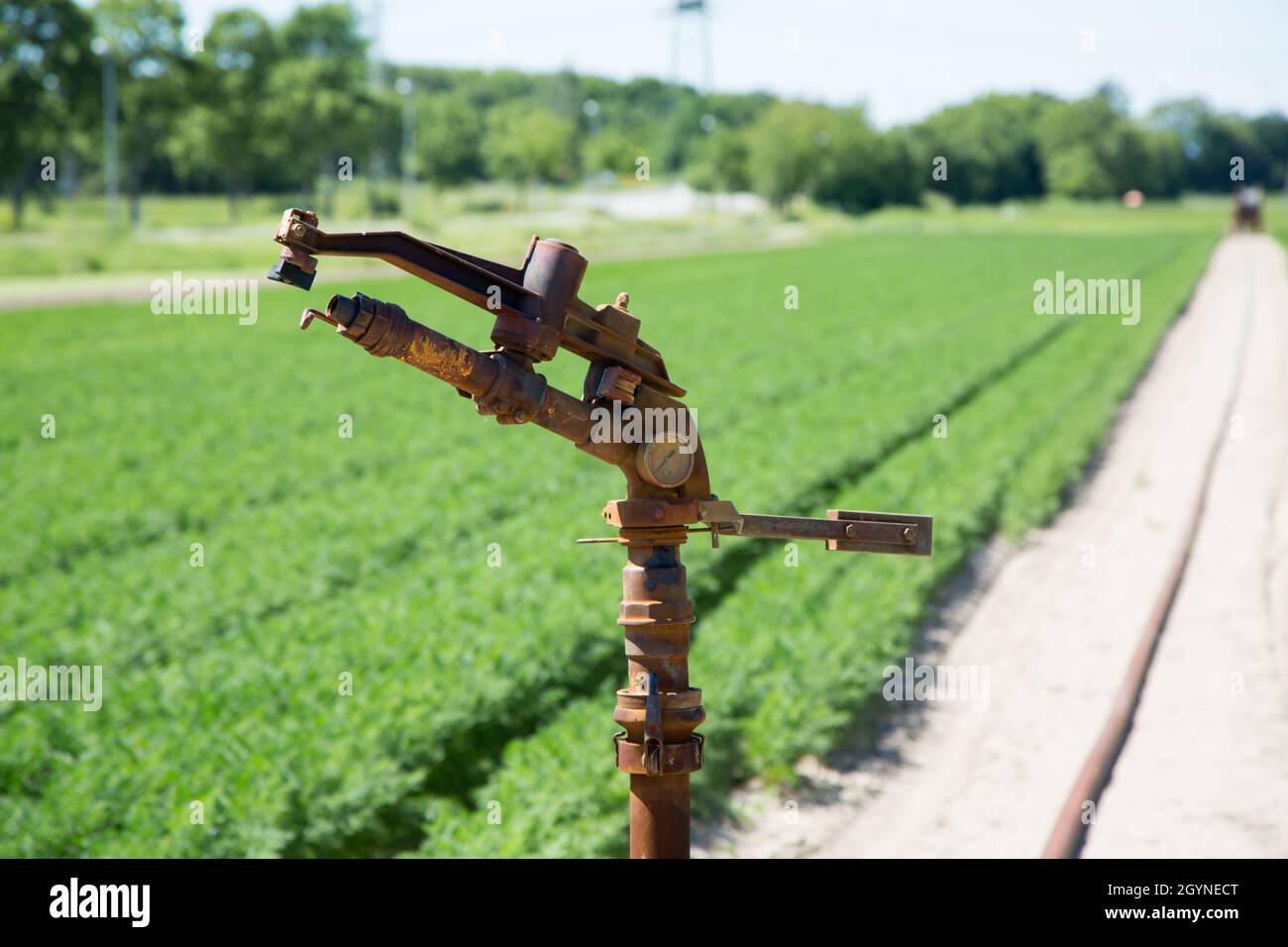Rusty sprinkler hi-res stock photography and images - Alamy