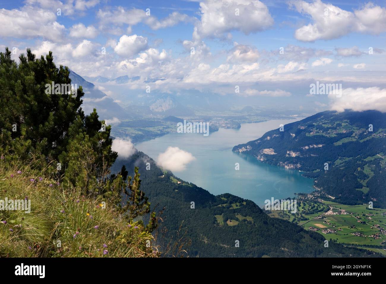 Thunersee (Lake Thun) in the distance, from the Panoramaweg around the ...
