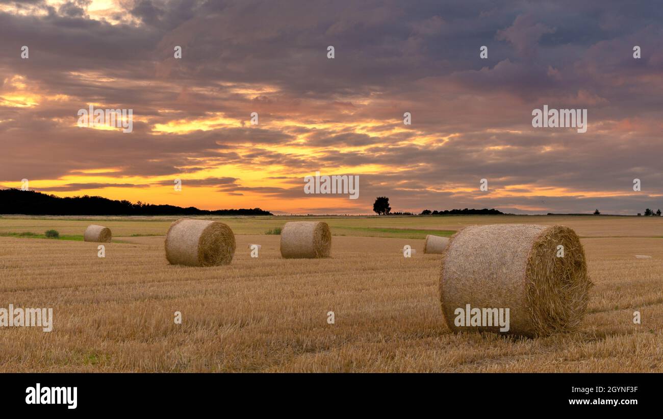 Hay rolls in a farm under the sunset sky Stock Photo - Alamy