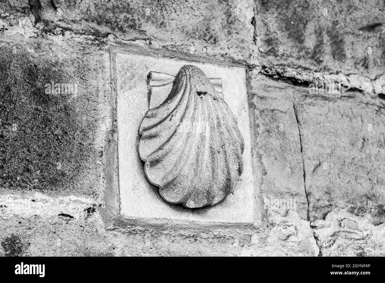Grayscale shot of stone seashell on facade of a building Stock Photo ...