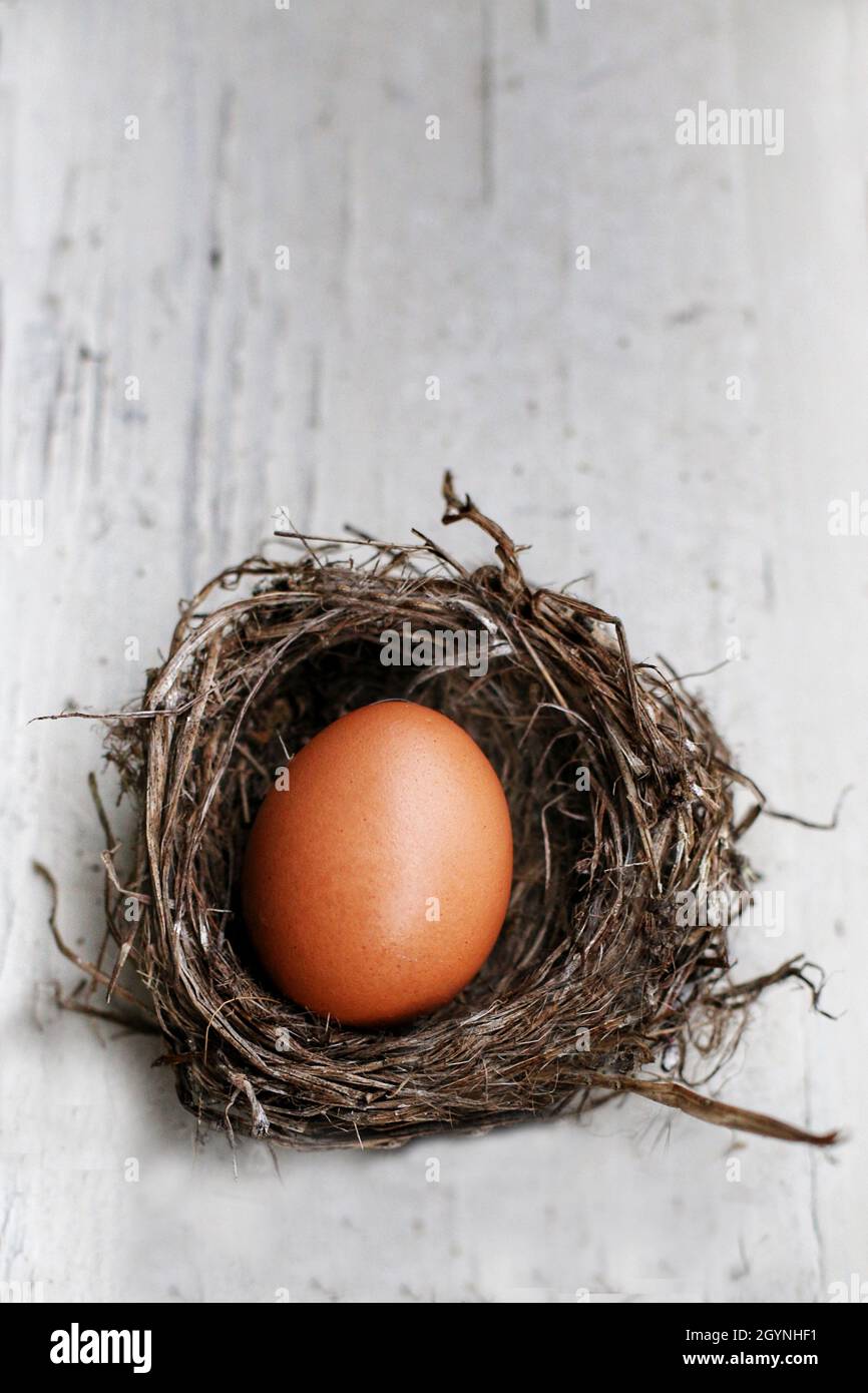 Vertical shot of a brown egg resting in a small bird nest Stock Photo ...