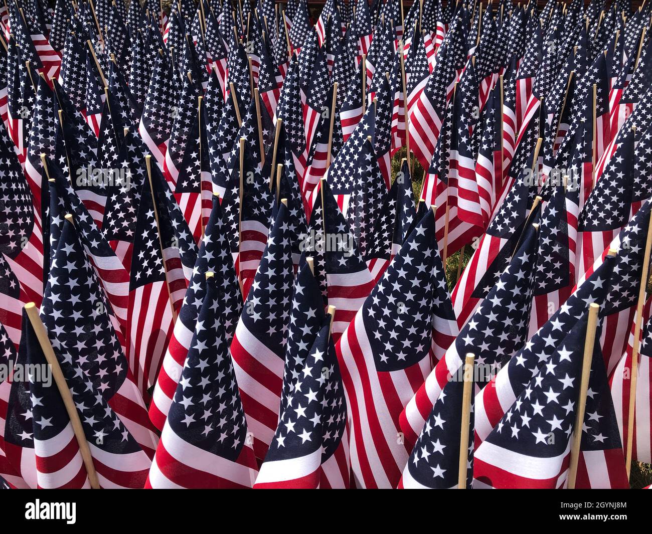 veterans day flags in patriotic background image, red white and blue ...