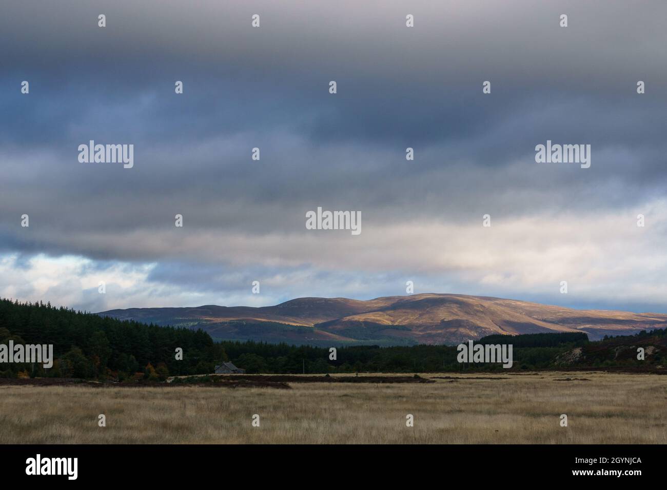 Morning in scottish landscape with mountain in golden sunlight in the ...