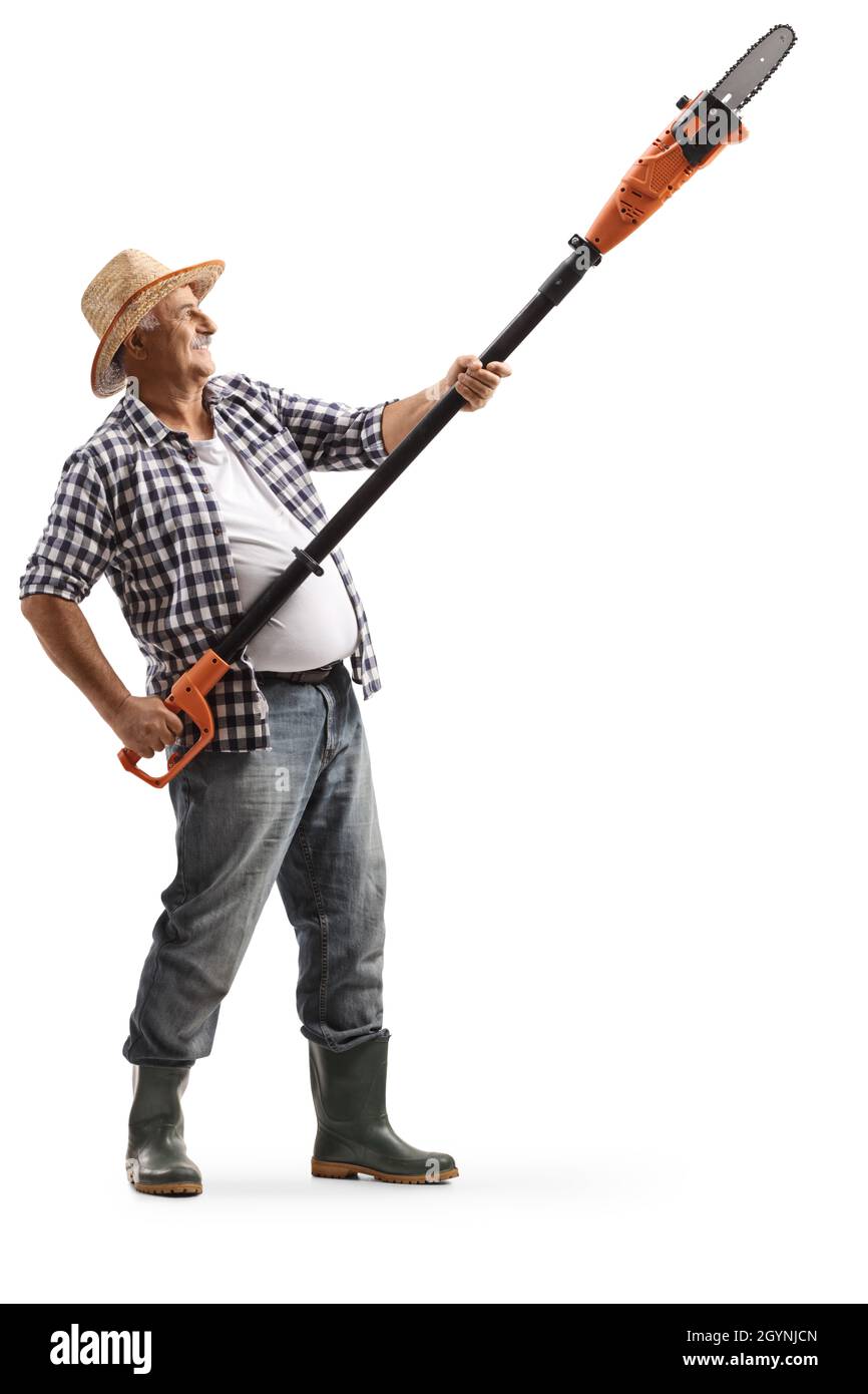 Man cutting tree Cut Out Stock Images & Pictures - Alamy