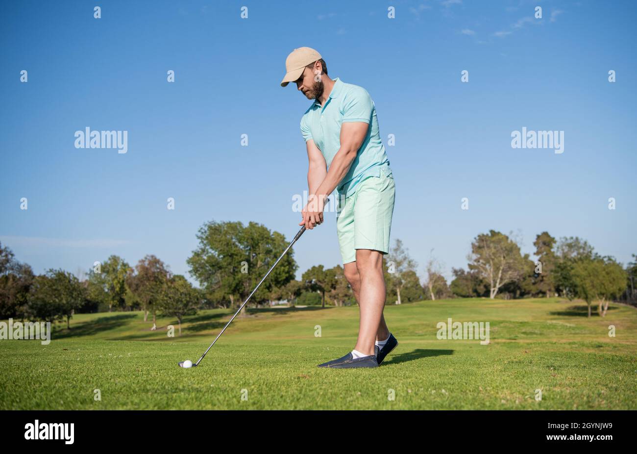 mature male golf player on professional course with green grass, golf ...