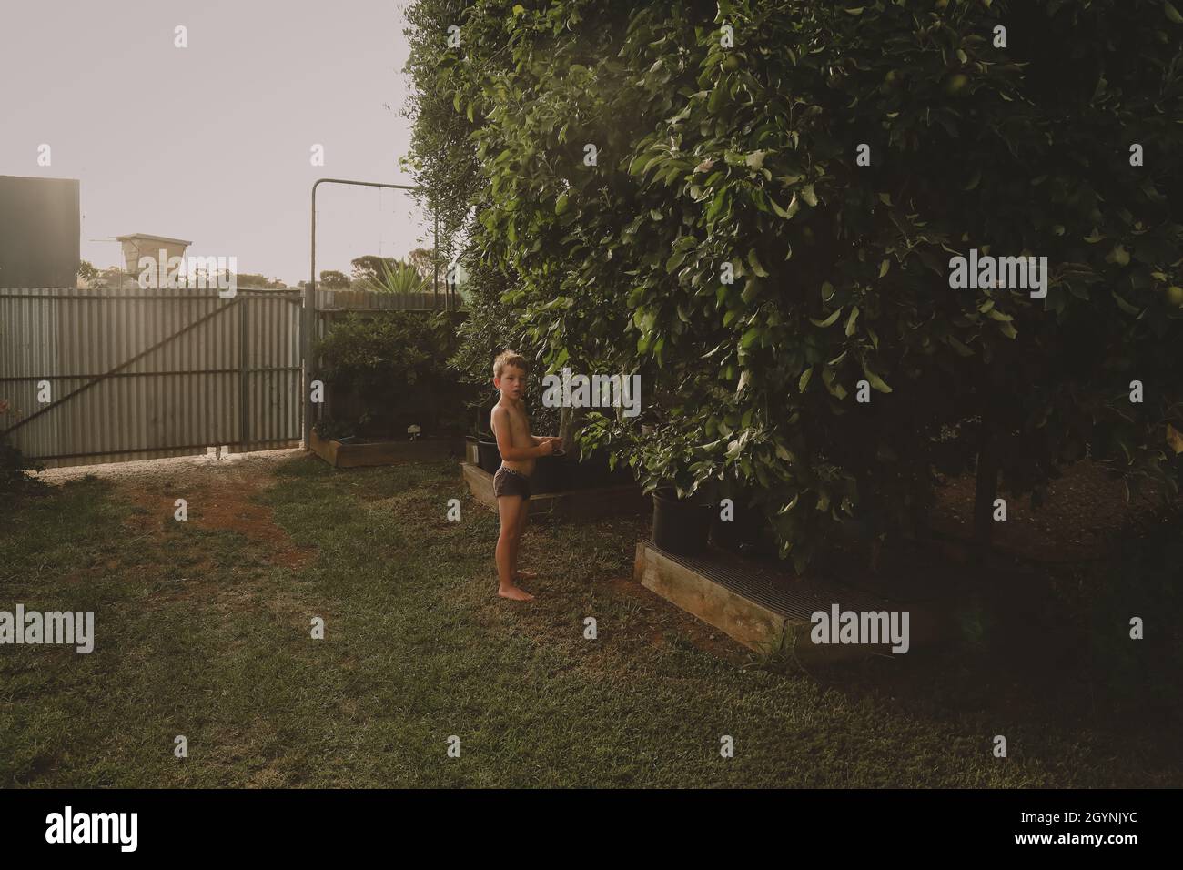 Playing in back garden hi-res stock photography and images - Alamy