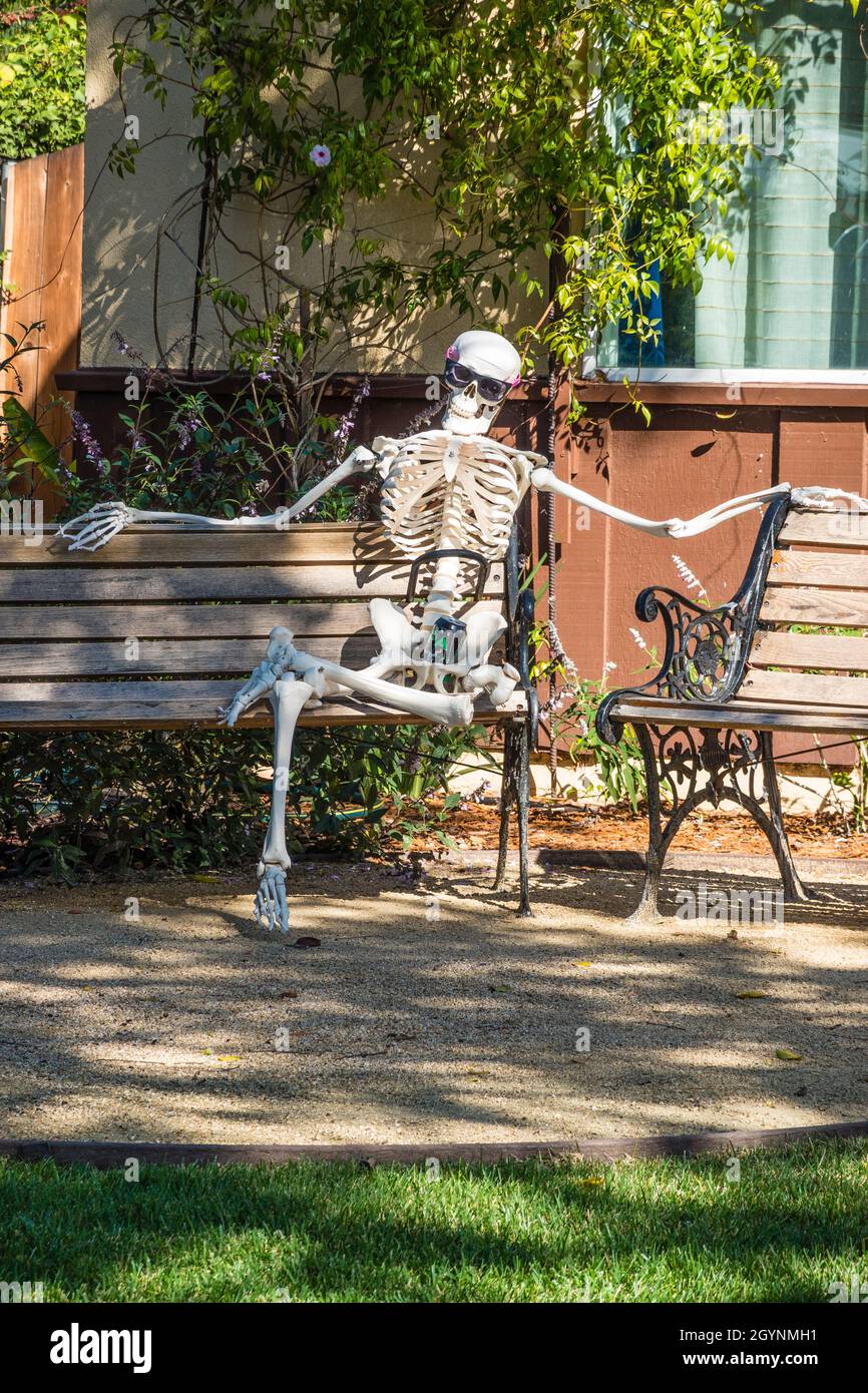 Skeleton sitting chair hi-res stock photography and images - Alamy