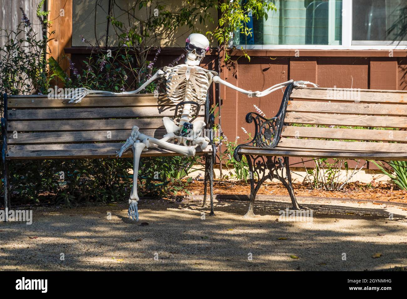 Skeleton sitting chair hi-res stock photography and images - Alamy