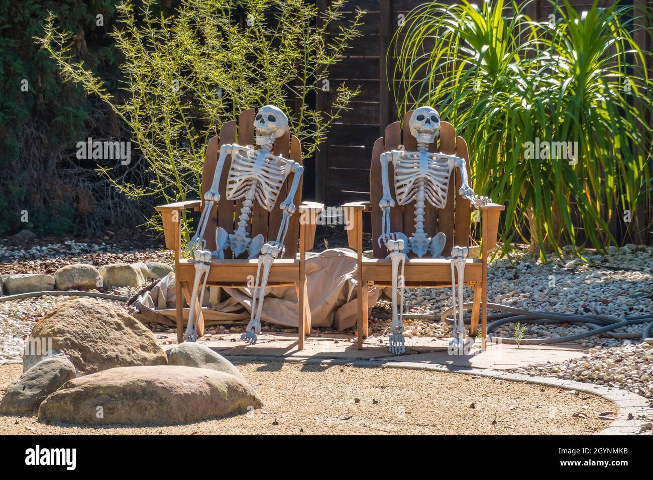 Two halloween skeletons sit on two lawn chairs in the front year of a ...