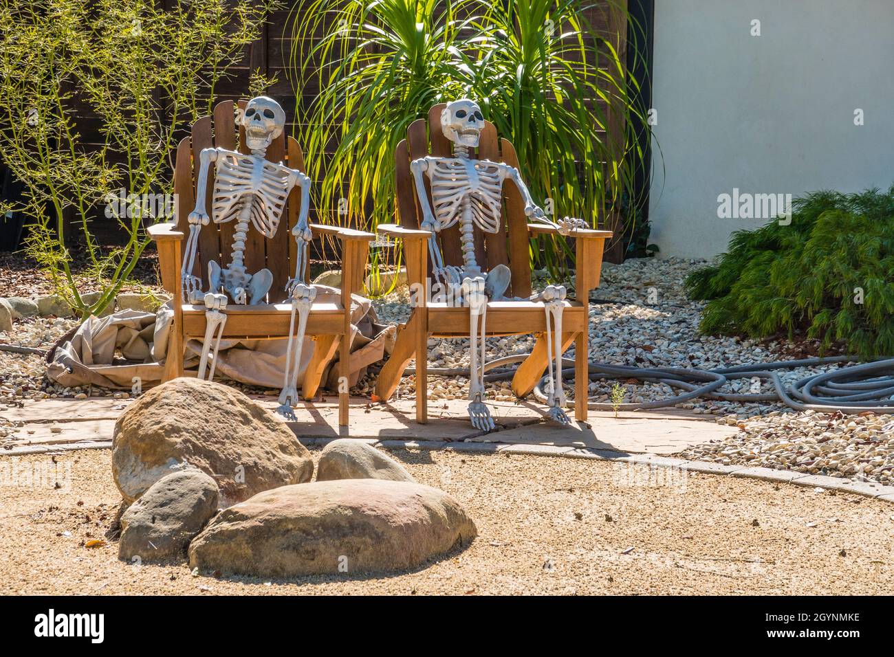 Chilling skeleton hi-res stock photography and images - Alamy