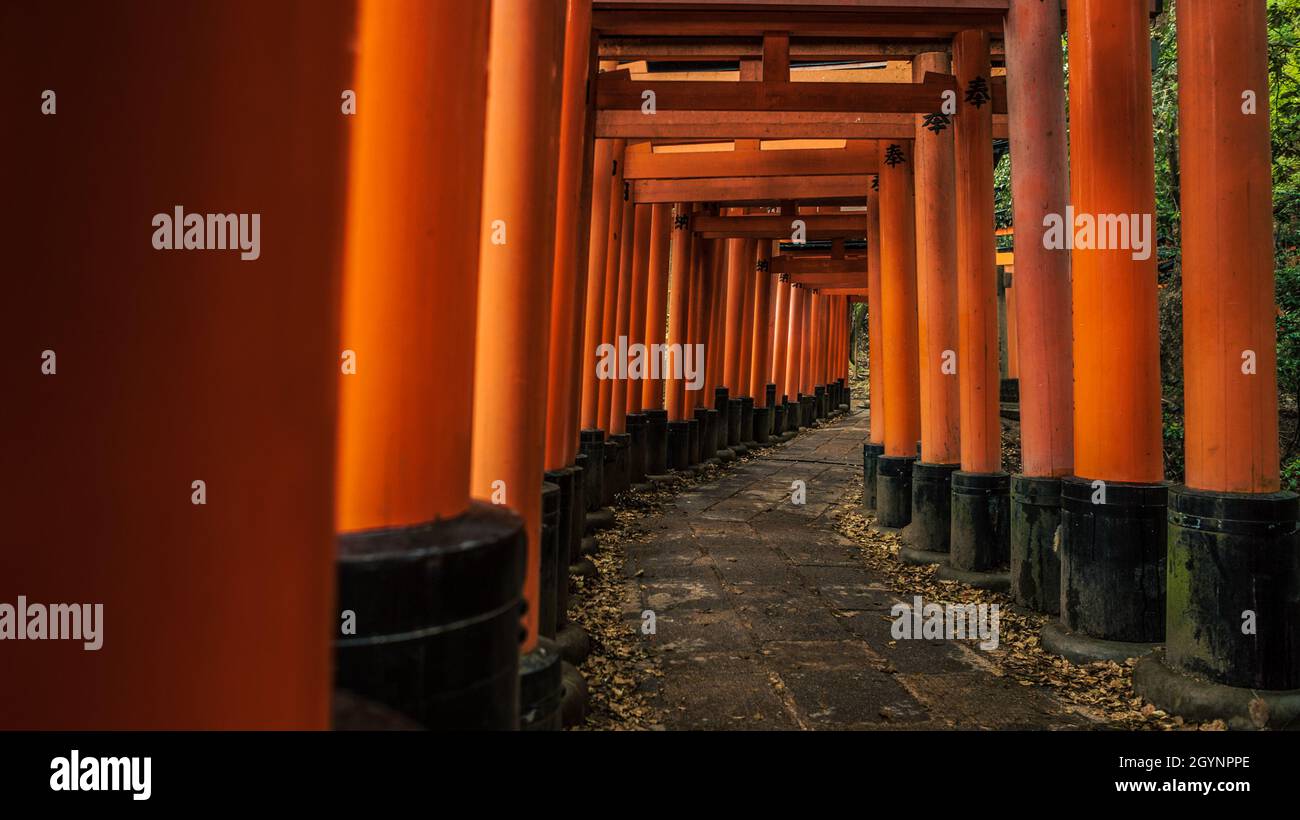 Kyoto, Japan-14 April, 2019: Beautiful red Tori gates at famous Fushimi ...