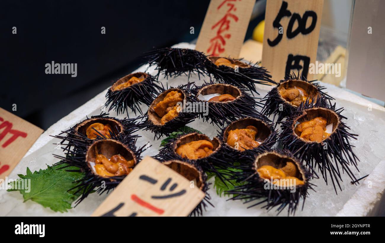 Sea urchins sashimi fresh open and ready to eat on ice in Kyoto fish market. Close up of ...