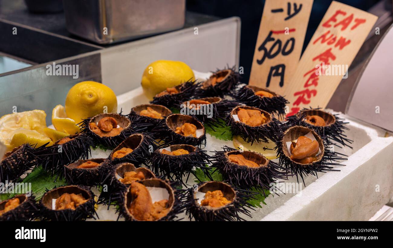 Famous golden egg urchin open and ready to eat on ice in Kyoto fish ...