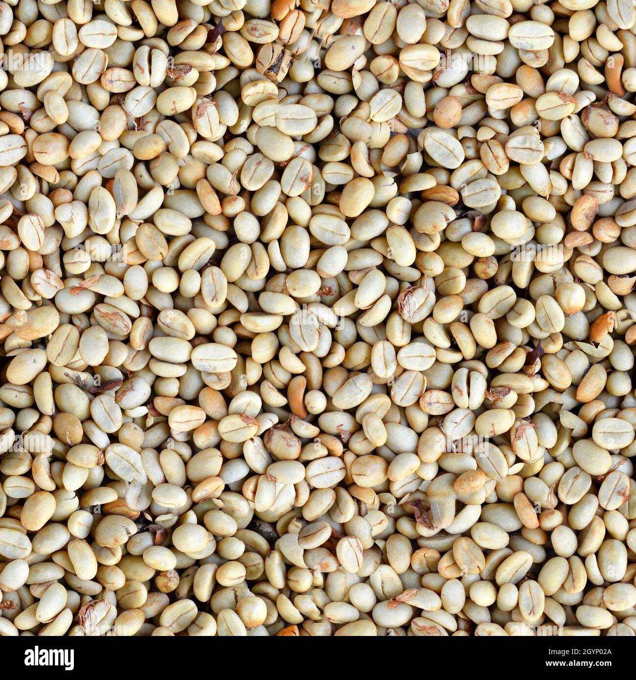 seamless texture background for design Stock Photo - Alamy
