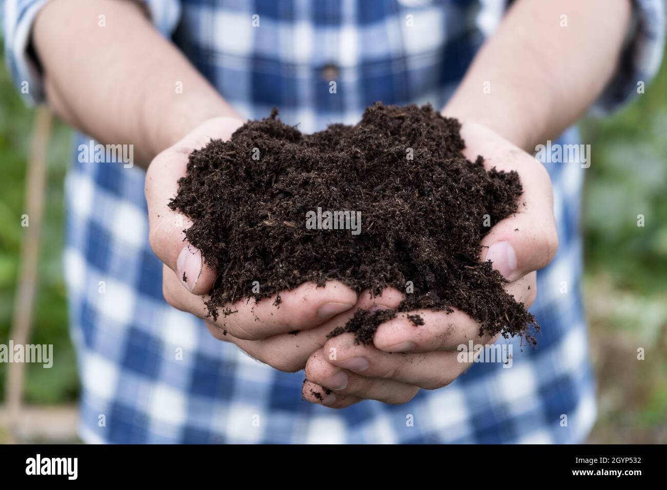 Handful Of Rich Brown Soil compost. A man holds in dirty hands with ...