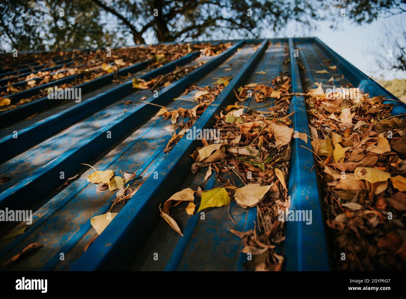 Leaves on a metal roof hi-res stock photography and images - Alamy