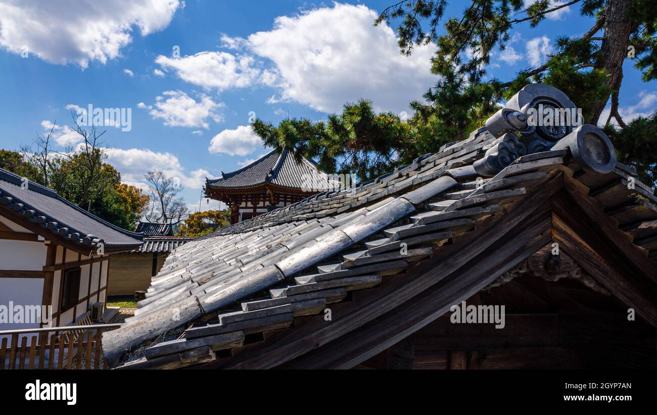Beautiful rooftop house at traditional garden under green trees at ...