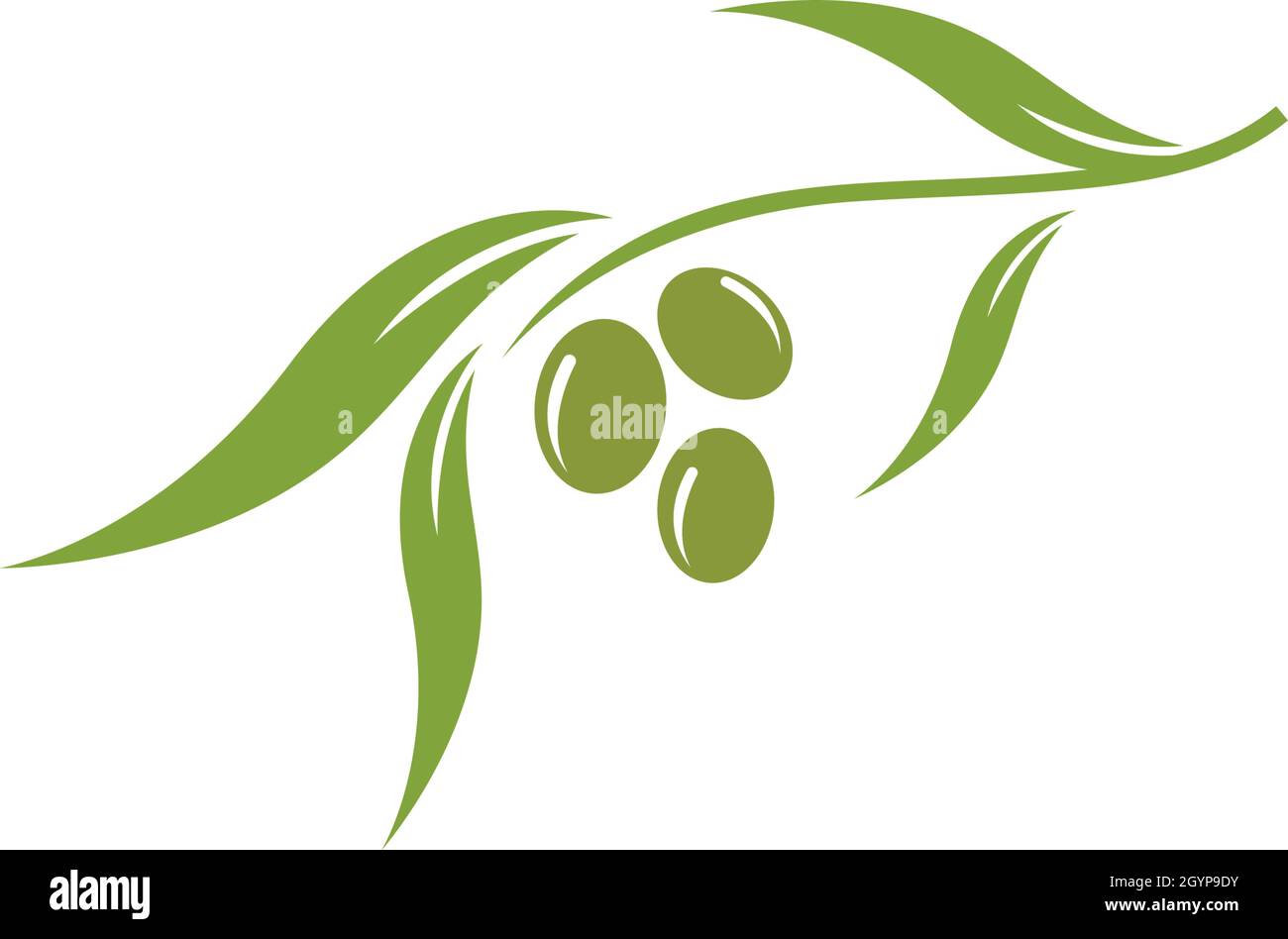 olive logo template vector design Stock Vector Image & Art - Alamy