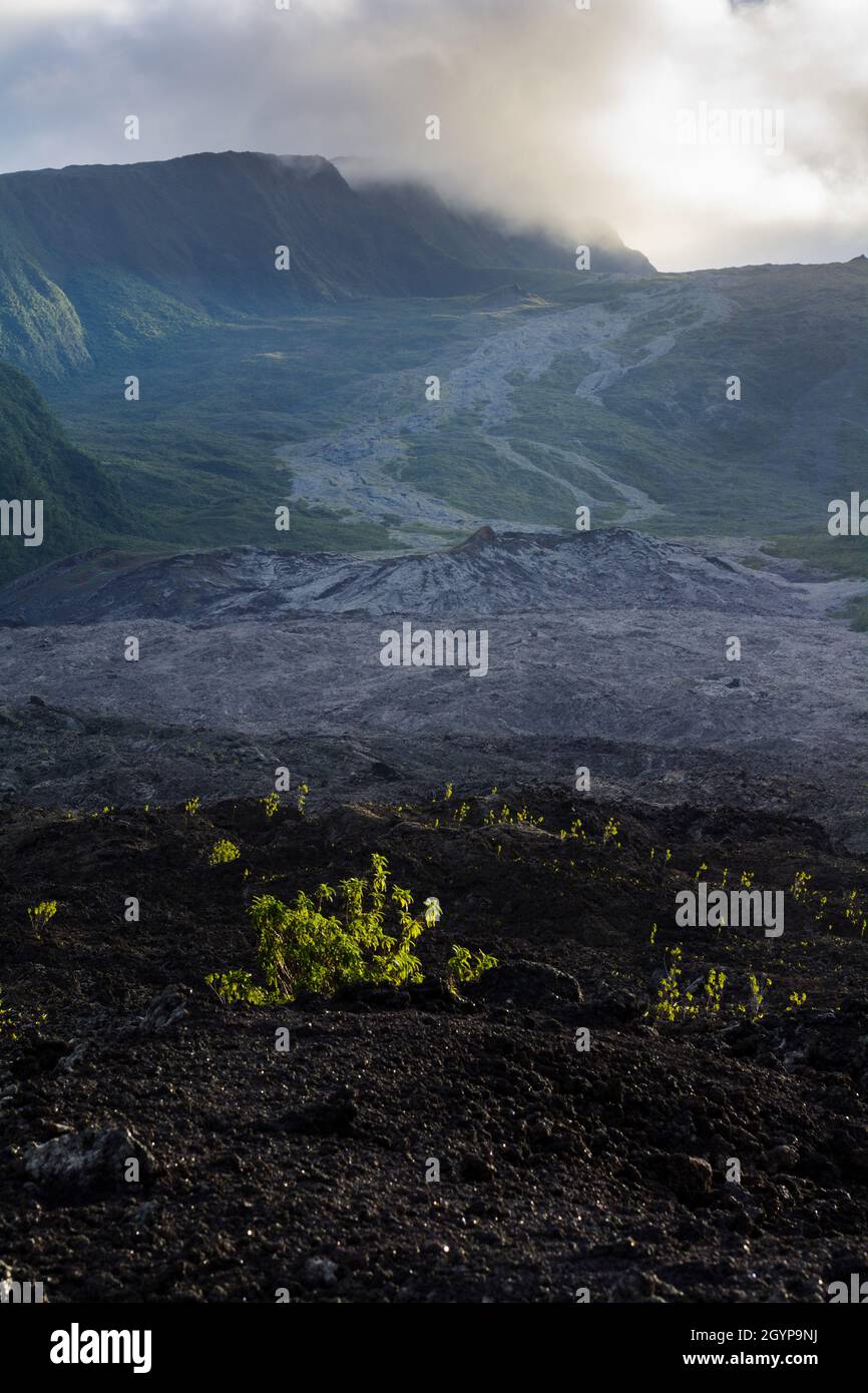 Old lava flow of Fournaise volcano at Reunion Island near coastline ...
