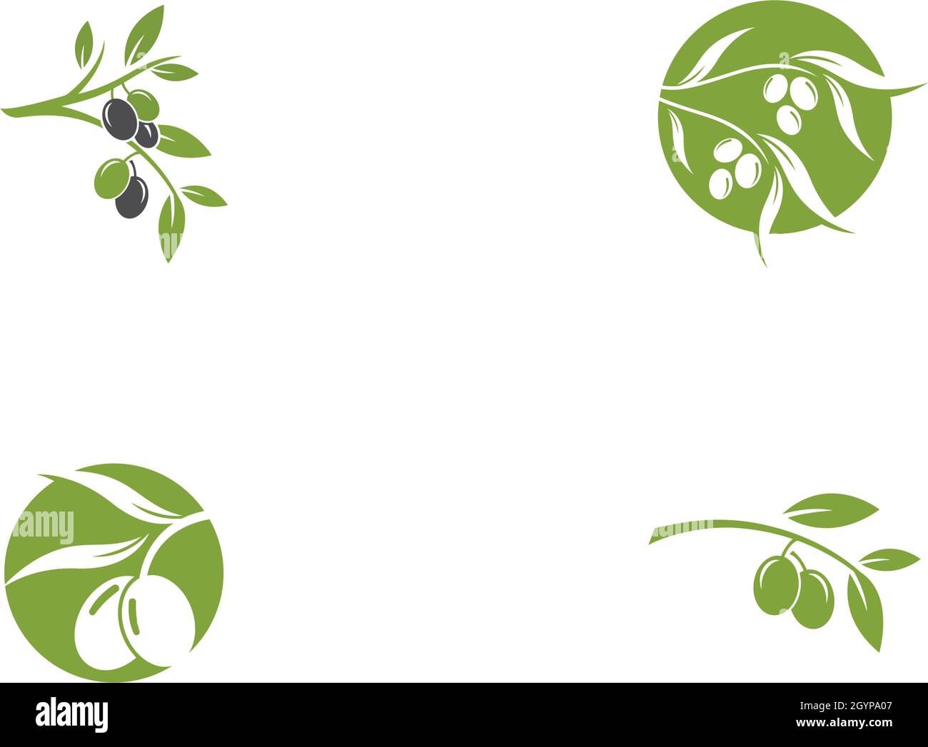 olive logo template vector design Stock Vector Image & Art - Alamy