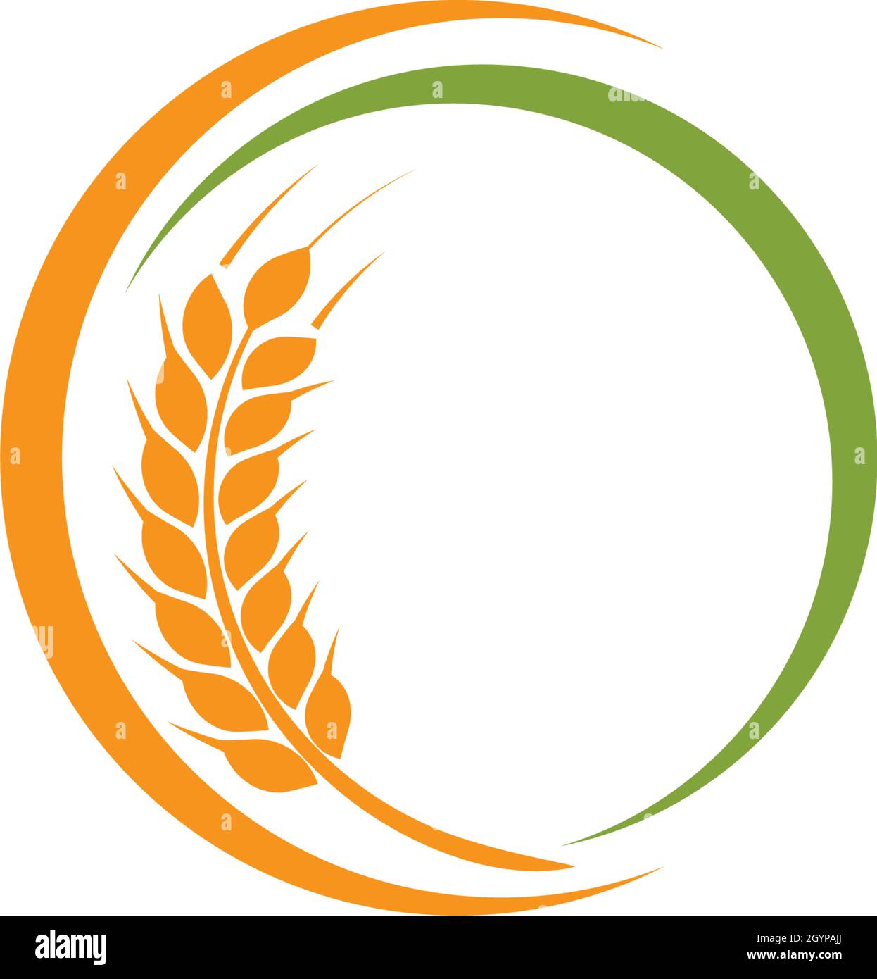 Agriculture wheat Logo Template vector Stock Vector Image & Art - Alamy