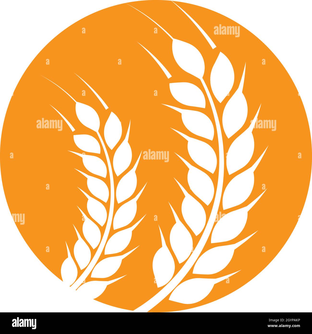 Agriculture wheat Logo Template vector Stock Vector Image & Art - Alamy