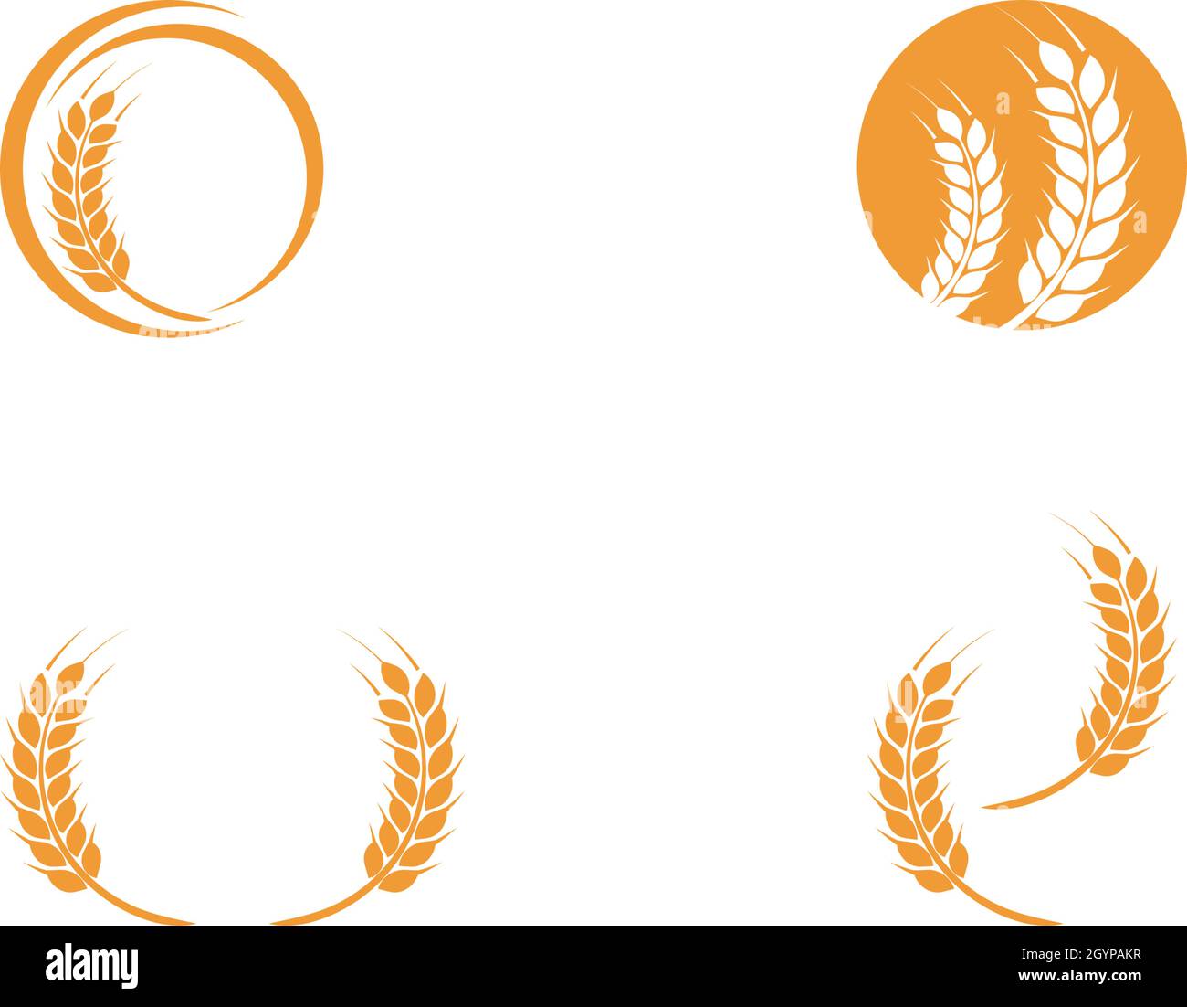 Agriculture wheat Logo Template vector Stock Vector Image & Art - Alamy