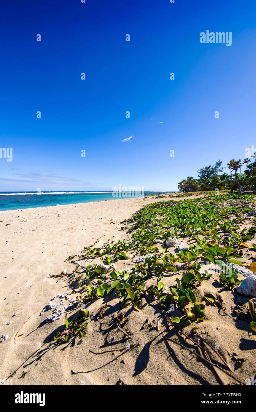 Sand beach of Saint Pierre at Reunion Island Stock Photo - Alamy