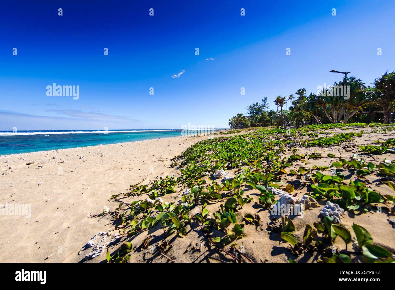 Sand beach of Saint Pierre at Reunion Island Stock Photo - Alamy