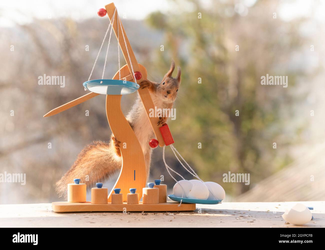 Spring balance scale hi-res stock photography and images - Alamy