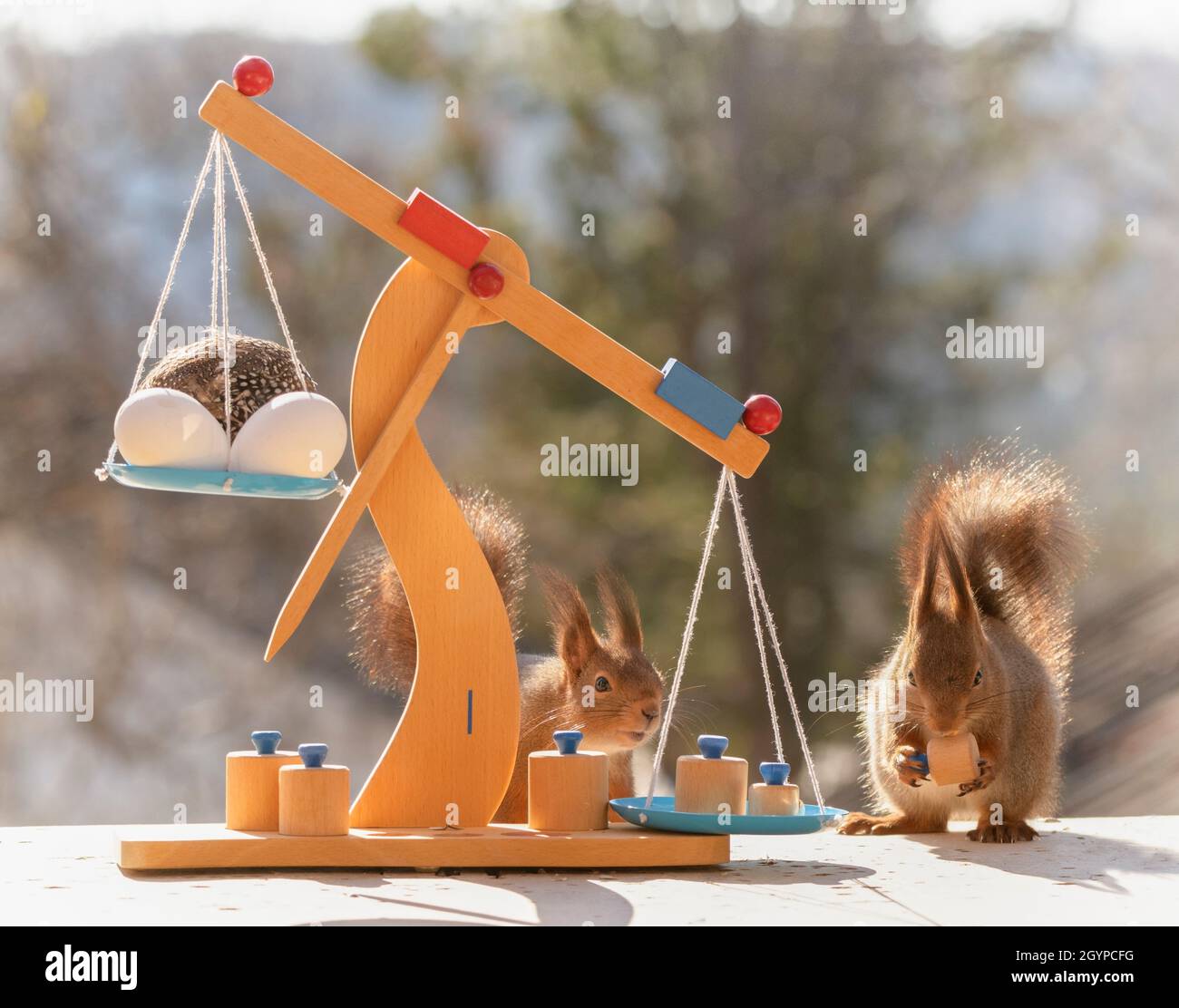 Spring balance scale hi-res stock photography and images - Alamy