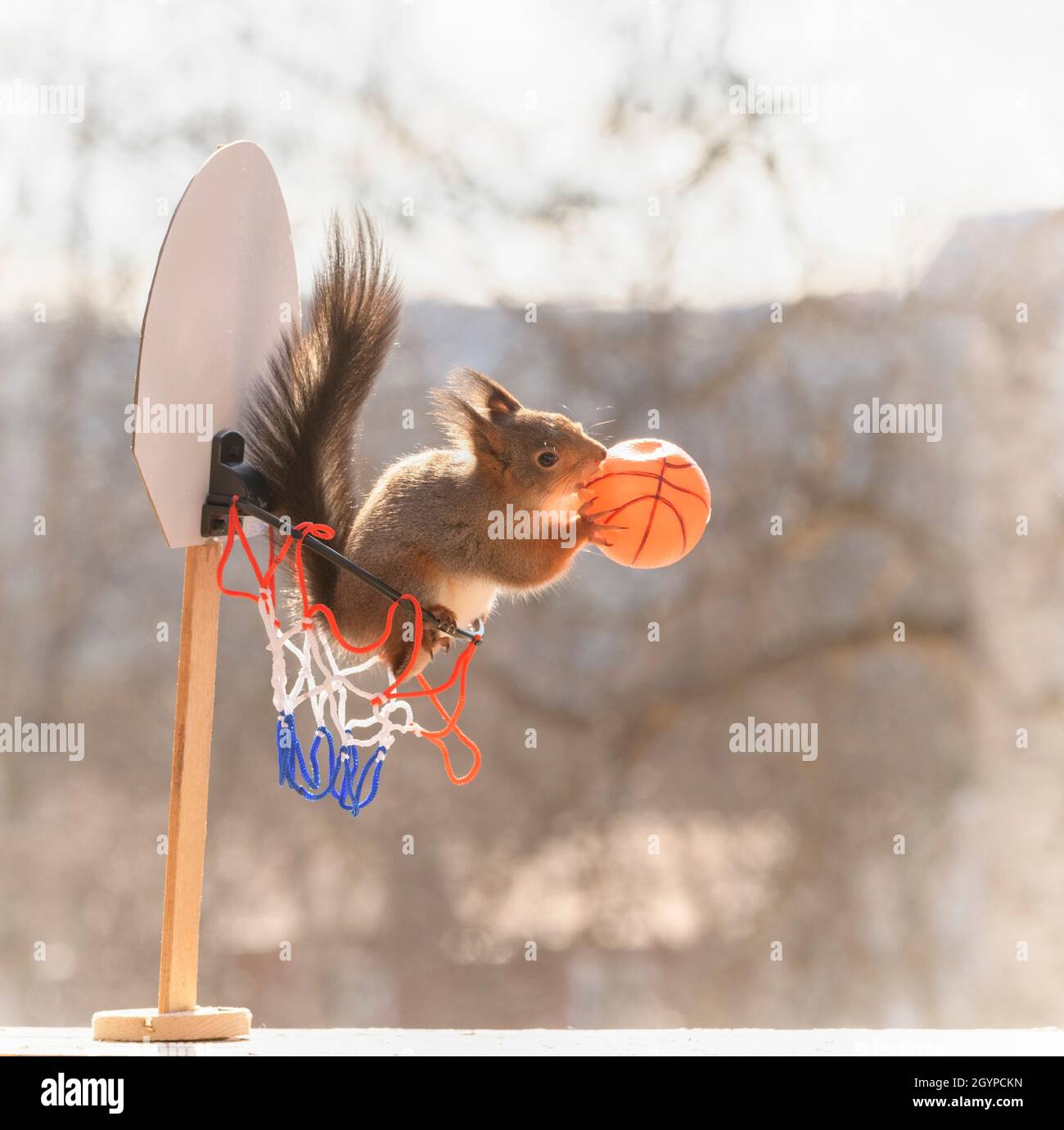 Score keeper for basketball hi-res stock photography and images - Alamy