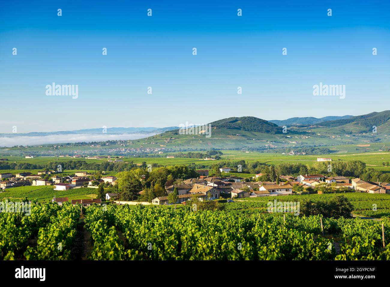 Le Mont Brouilly, et les villages de Cercié et Morgon, Beaujolais ...