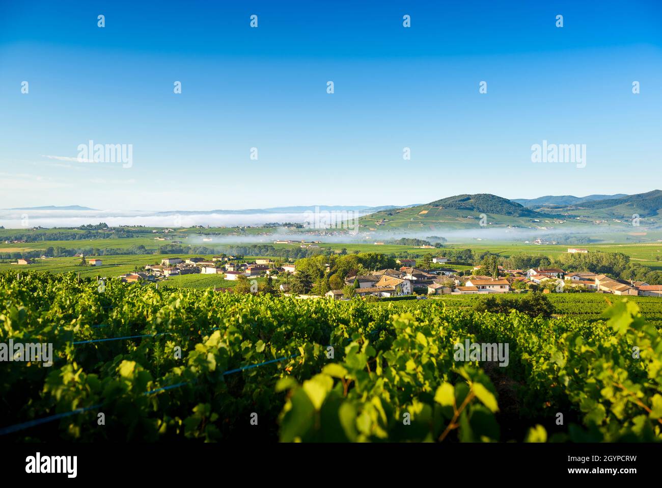 Le Mont Brouilly, et les villages de Cercié et Morgon, Beaujolais ...