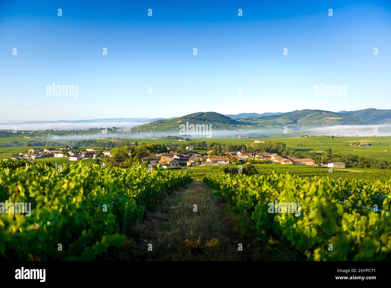 Le Mont Brouilly, et les villages de Cercié et Morgon, Beaujolais ...