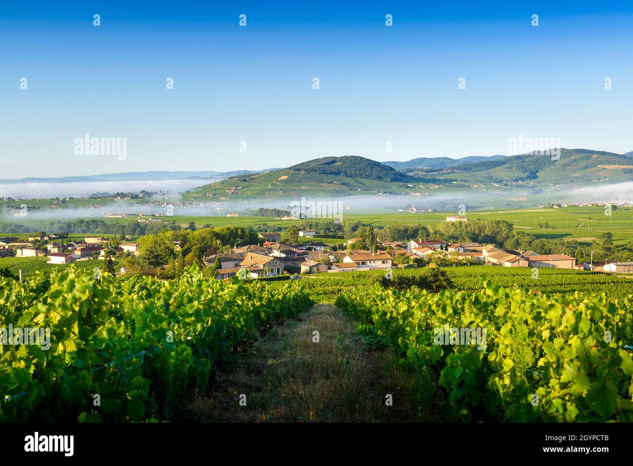 Le Mont Brouilly, et les villages de Cercié et Morgon, Beaujolais ...