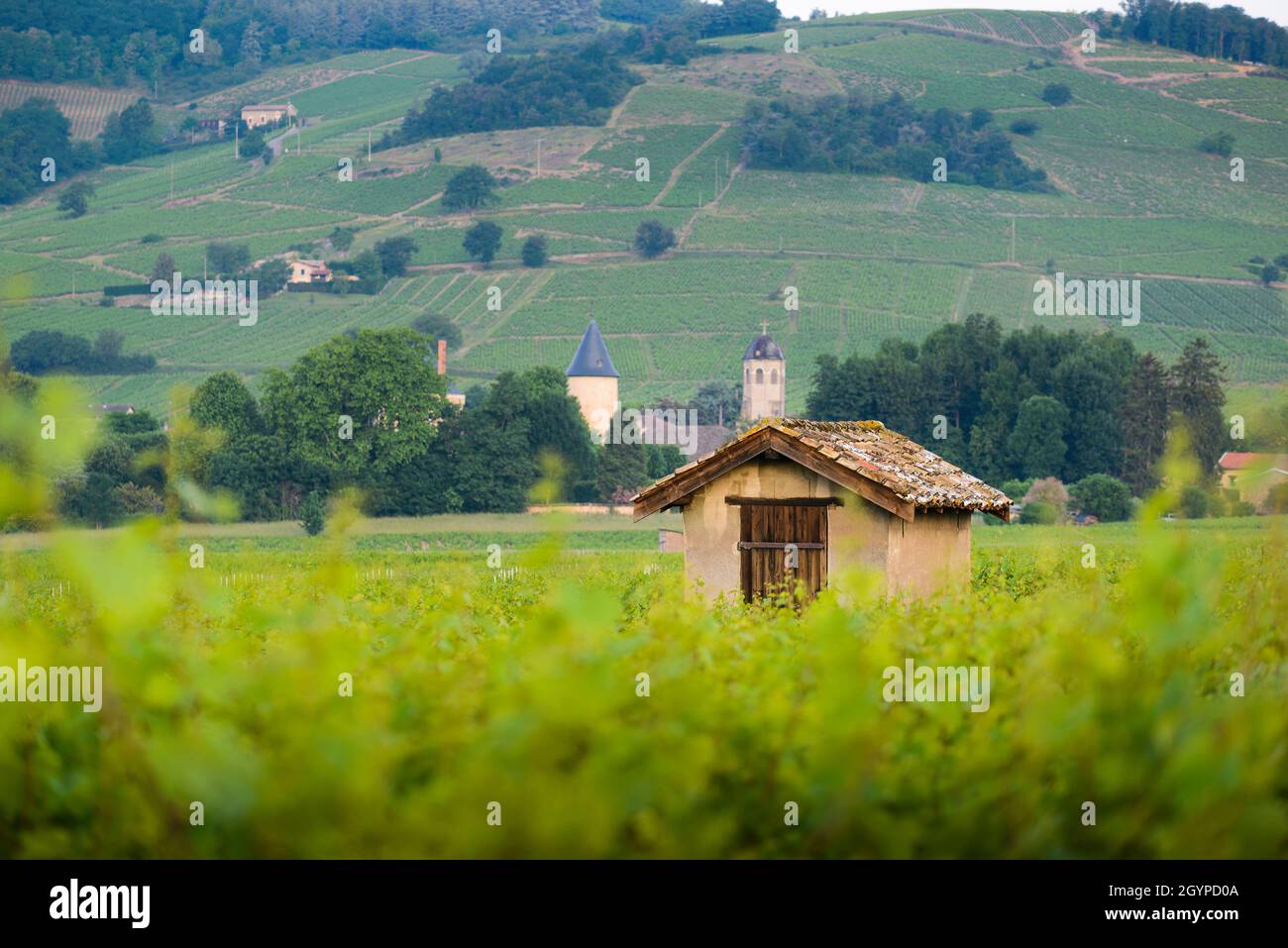 Cote de brouilly hi-res stock photography and images - Alamy