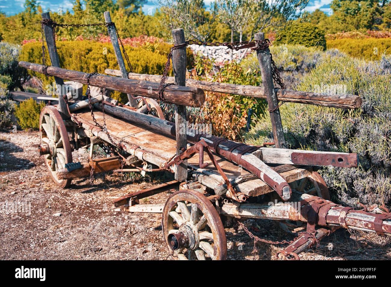 Empty old rural wooden wagon in nature Stock Photo - Alamy