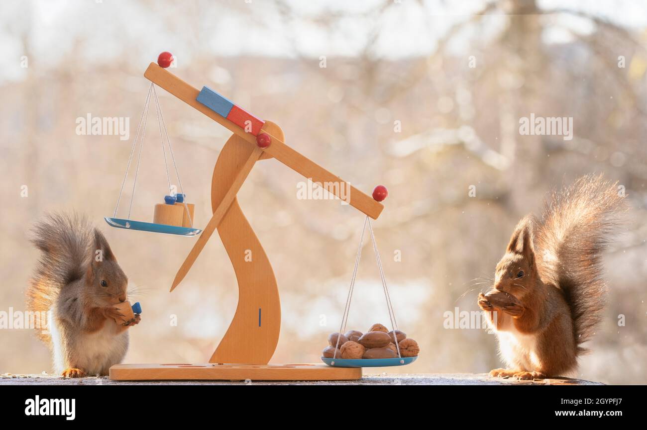 Spring balance scale hi-res stock photography and images - Alamy