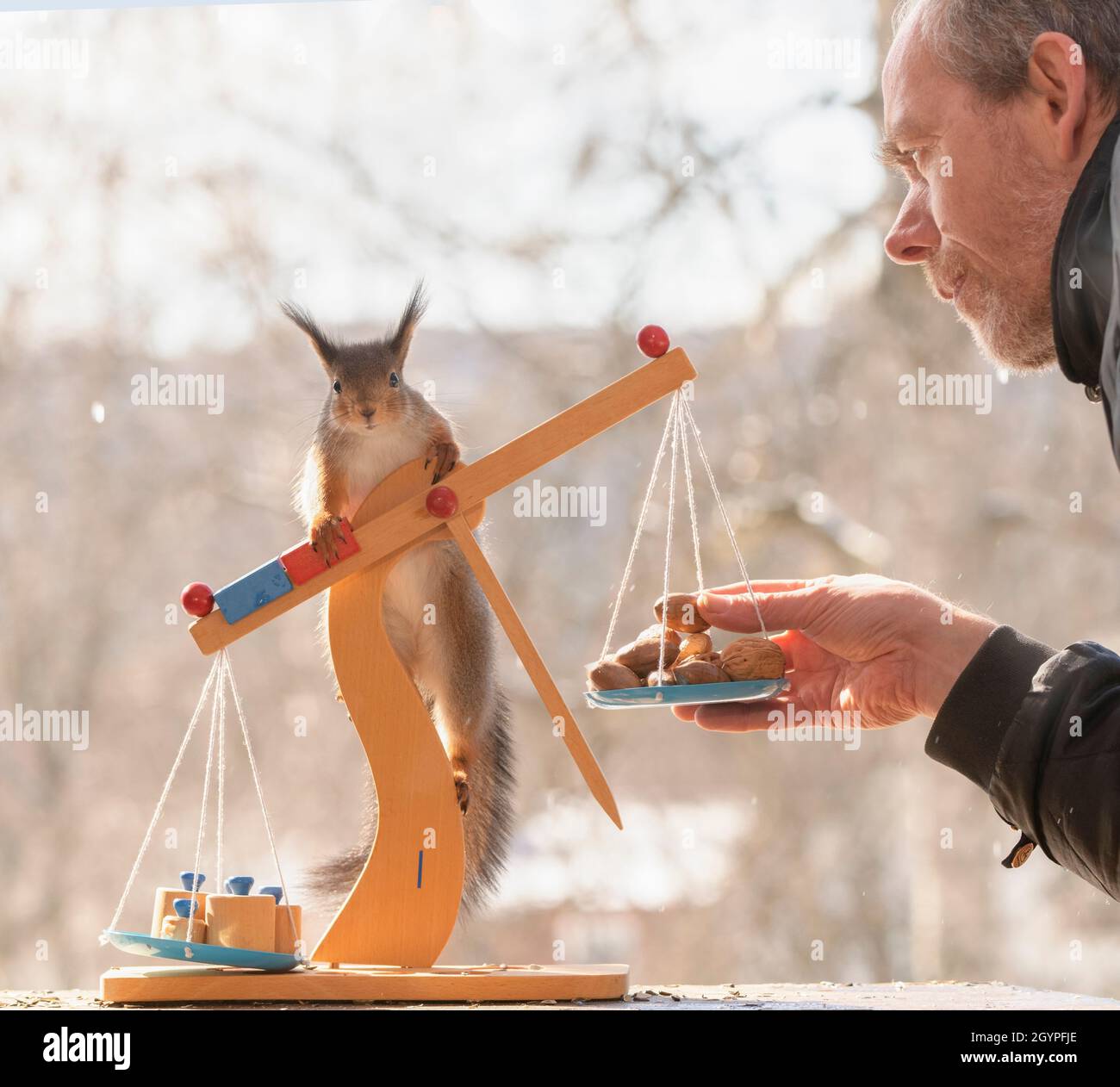 Spring balance scale hi-res stock photography and images - Alamy