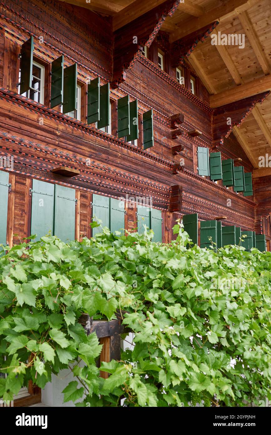 Swiss chalet with grape vines - Simmental, Berner Oberland, Switzerland Stock Photo - Alamy