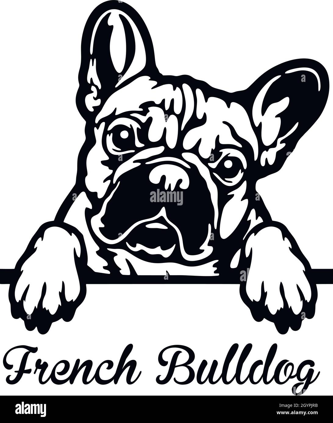 French Bulldog Face Vector