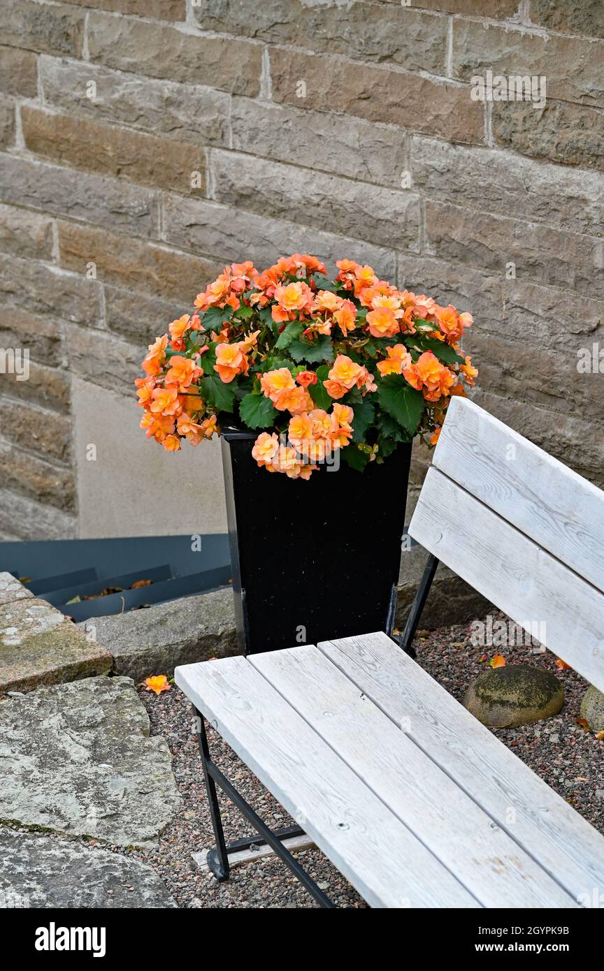 wooden bench flowers and a stone wall Stock Photo - Alamy