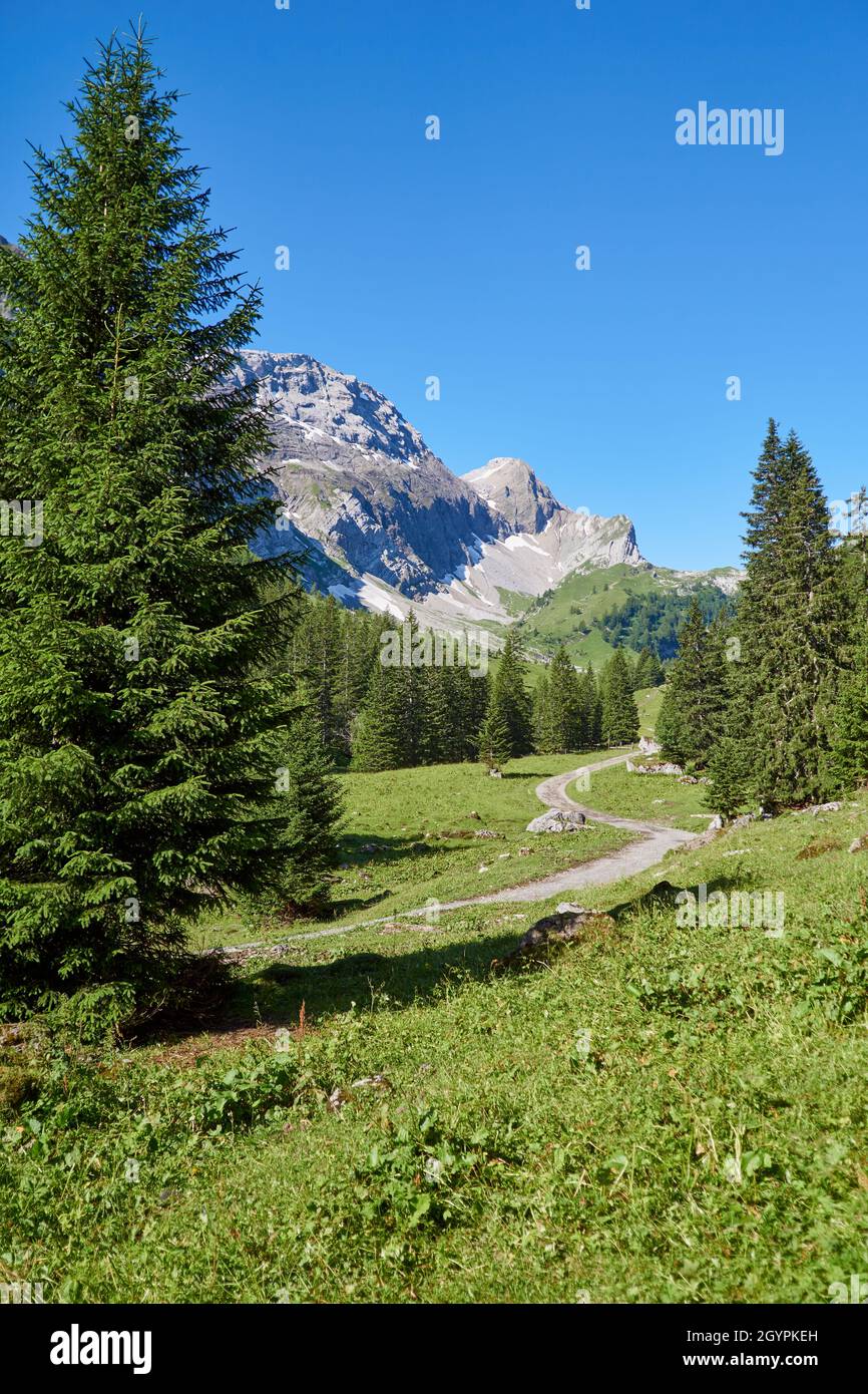Typical Swiss mountain landscape at Iffigenalp above Lenk in ...