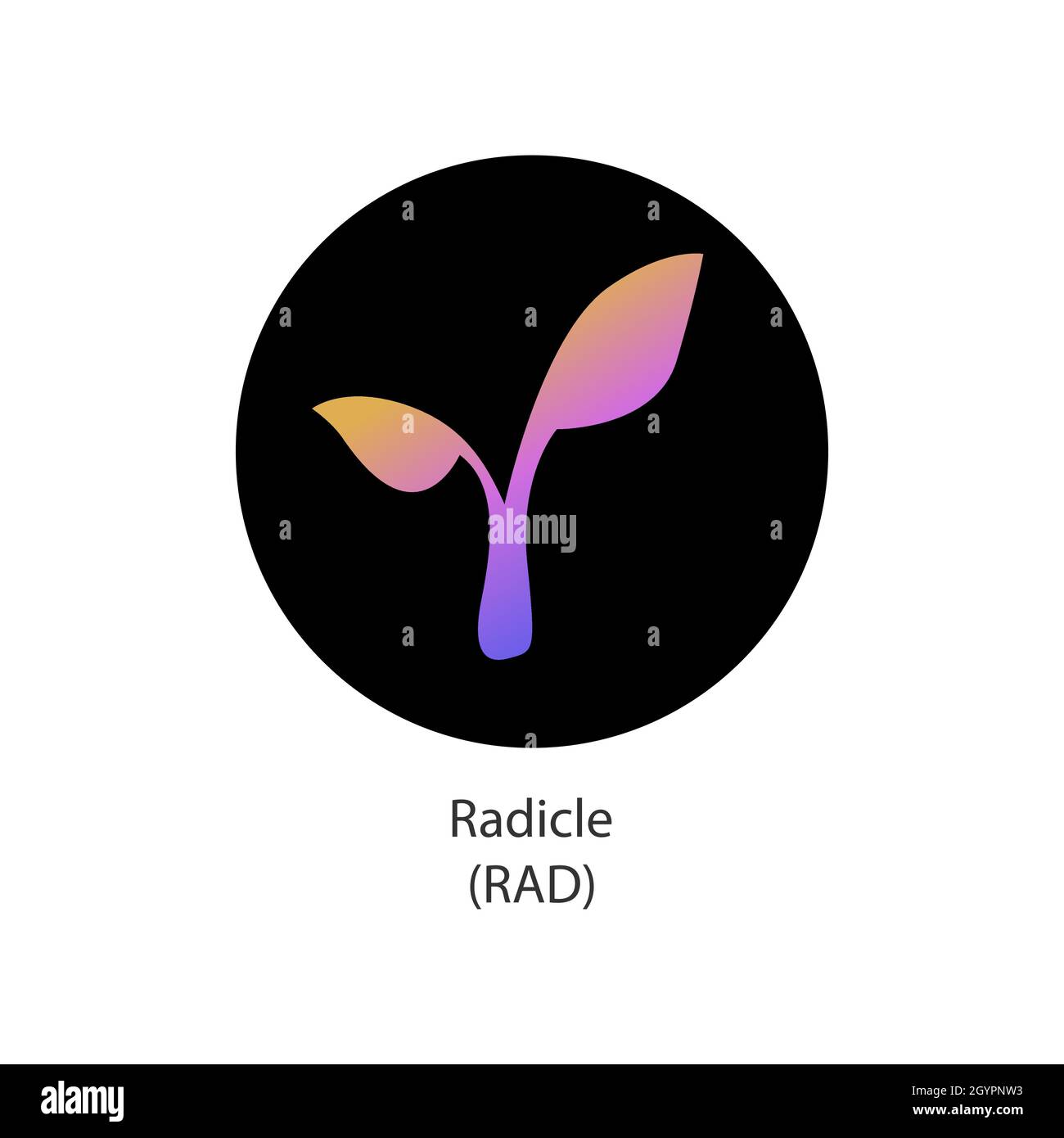 Radicle hi-res stock photography and images - Alamy