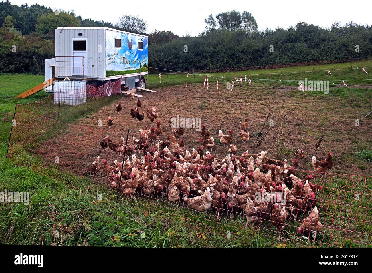 Poultry farming germany hi-res stock photography and images - Alamy