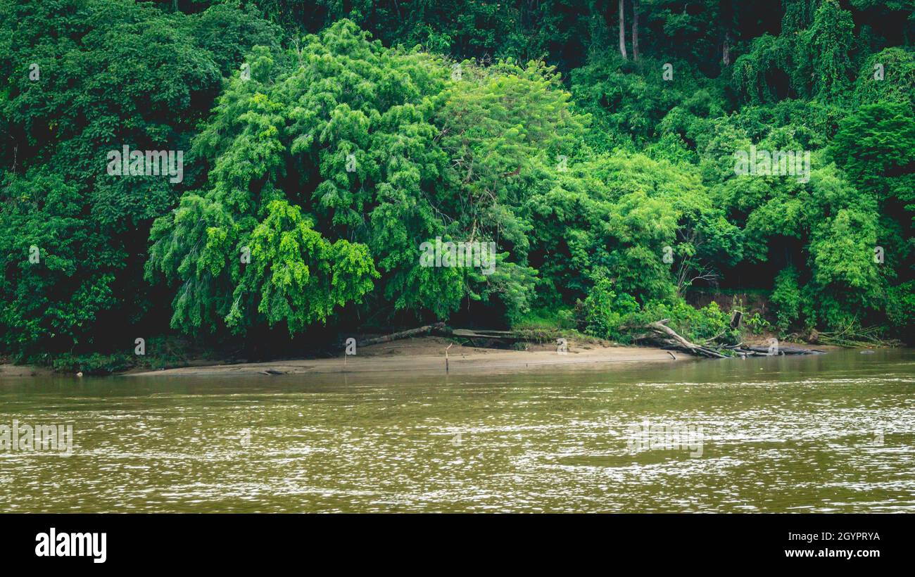 Beautiful landscape of Mahakam Ulu, tropical rainforest on the banks of ...